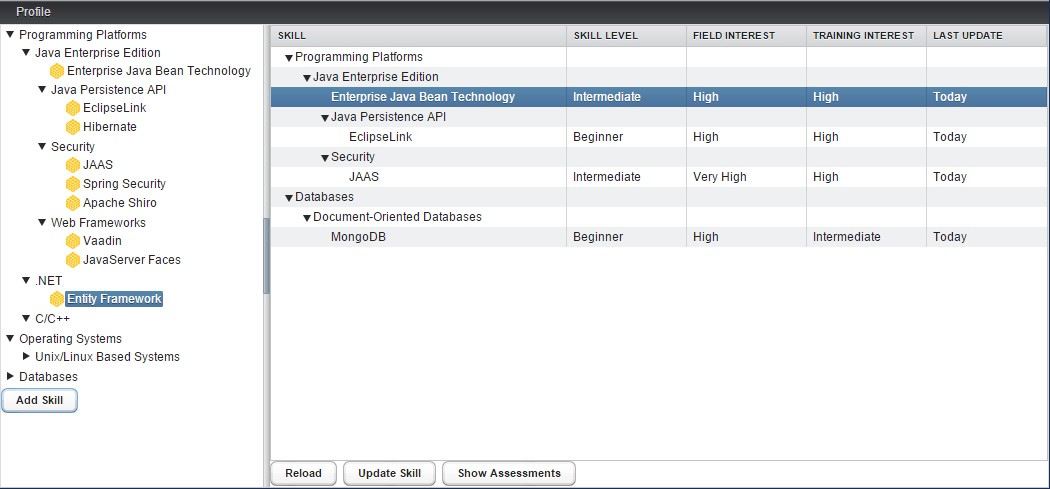 SkillMaster - edu.codespring.ro