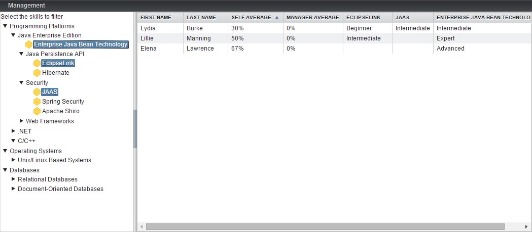 SkillMaster - edu.codespring.ro