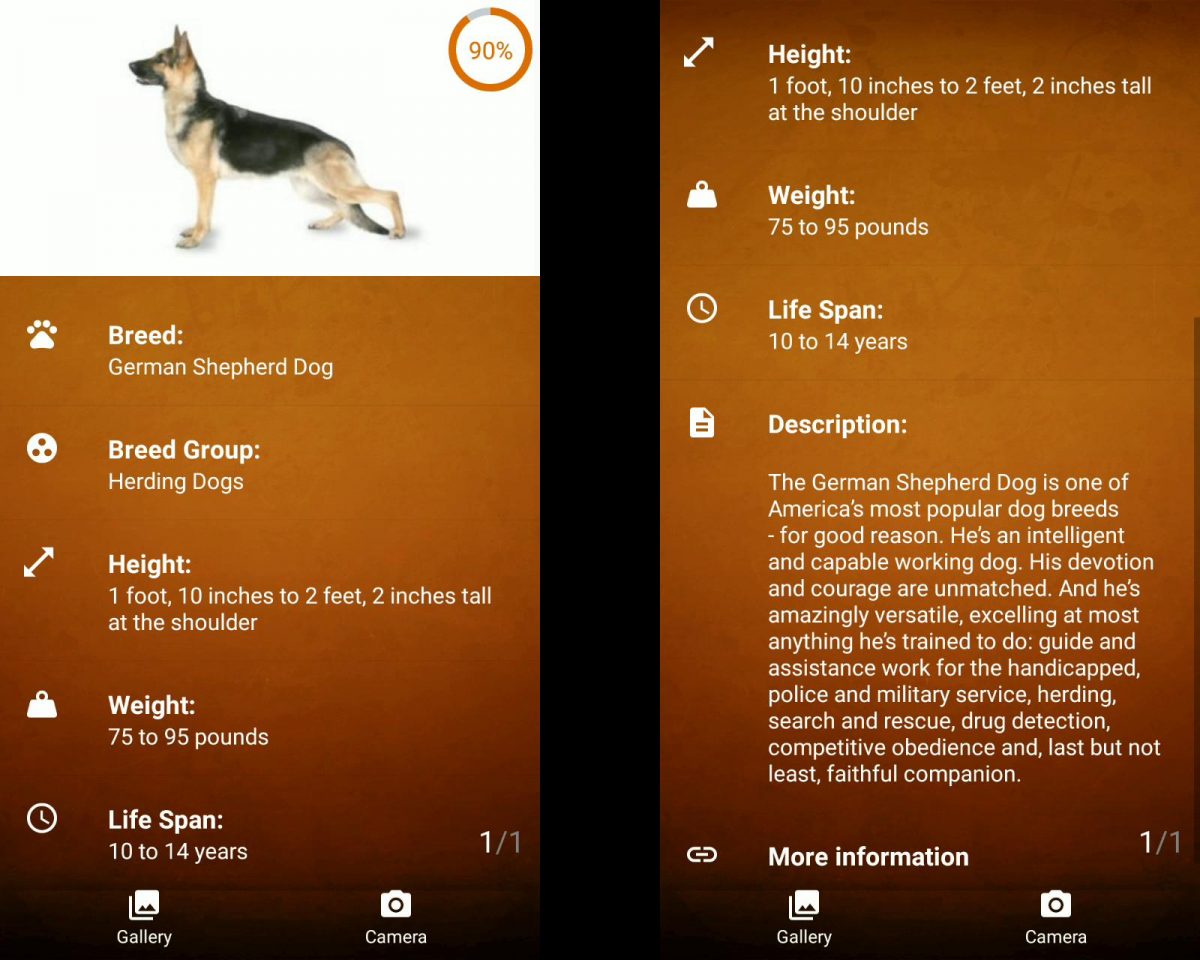 Sniff! - edu.codespring.ro